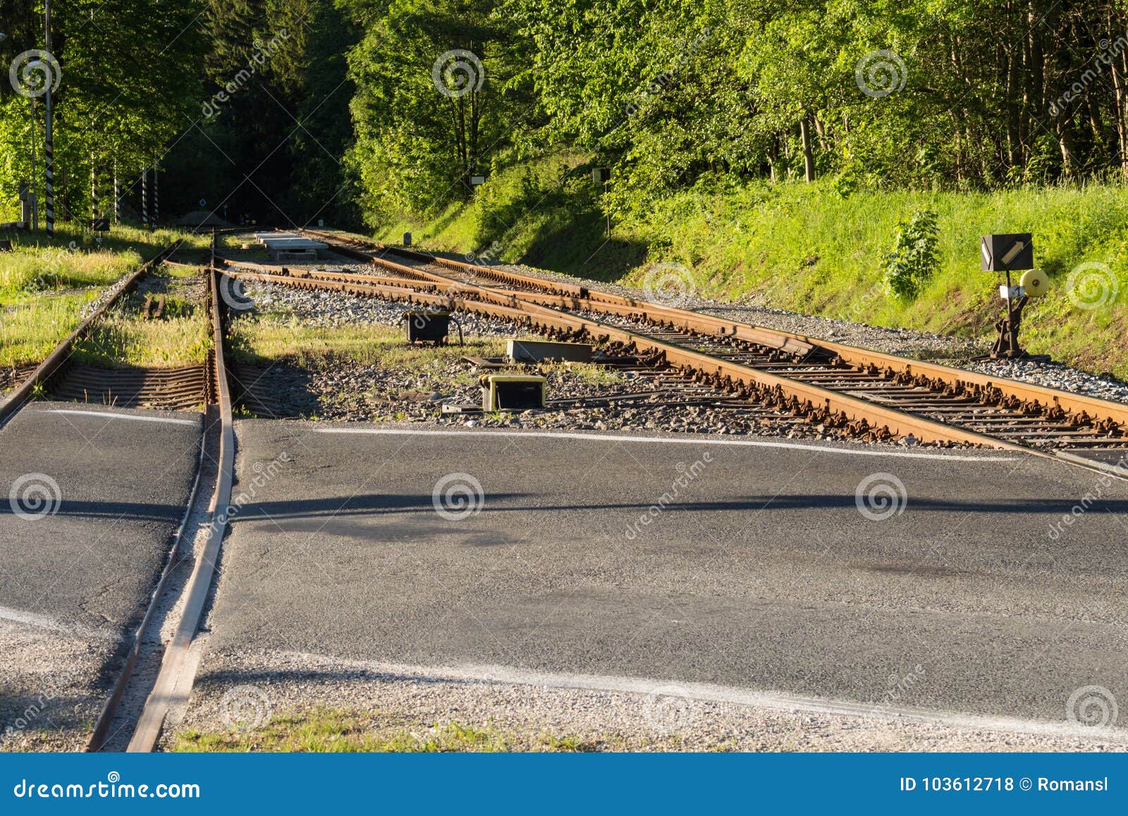 Railroad Track Winding through Green Summer Forest Stock Photo - Image ...