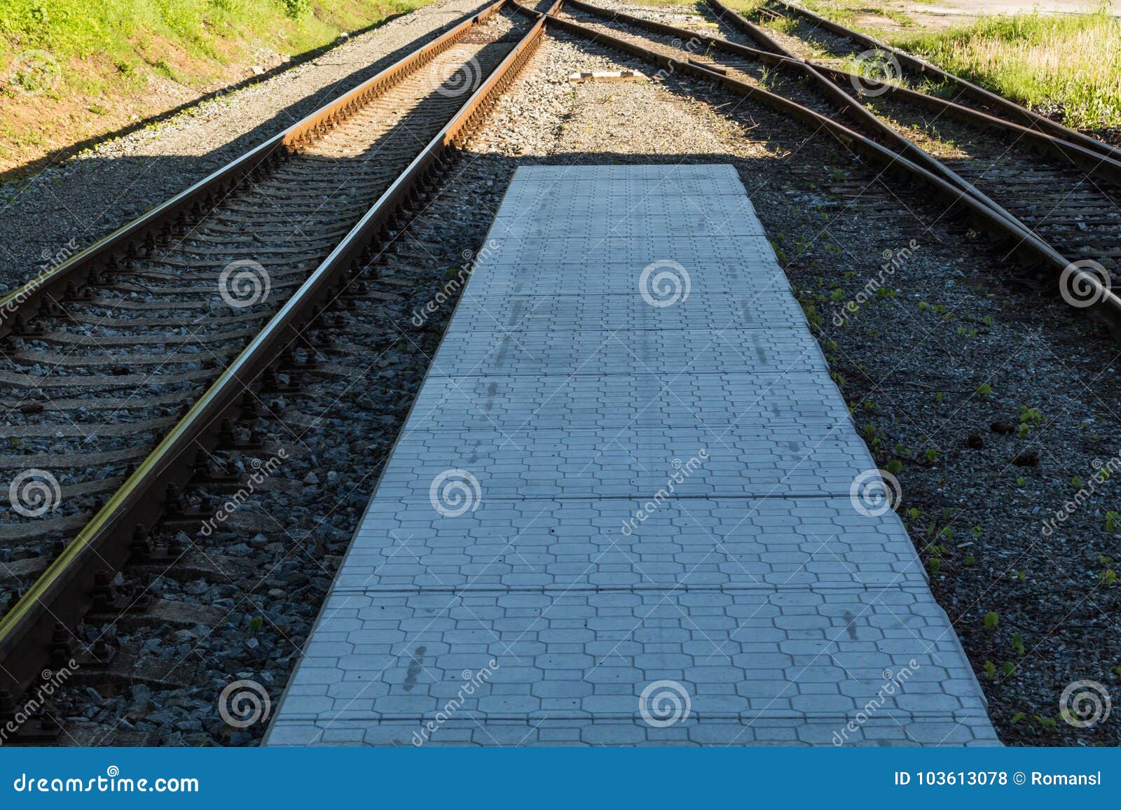 Railroad Track Winding through Green Summer Forest Stock Photo - Image ...