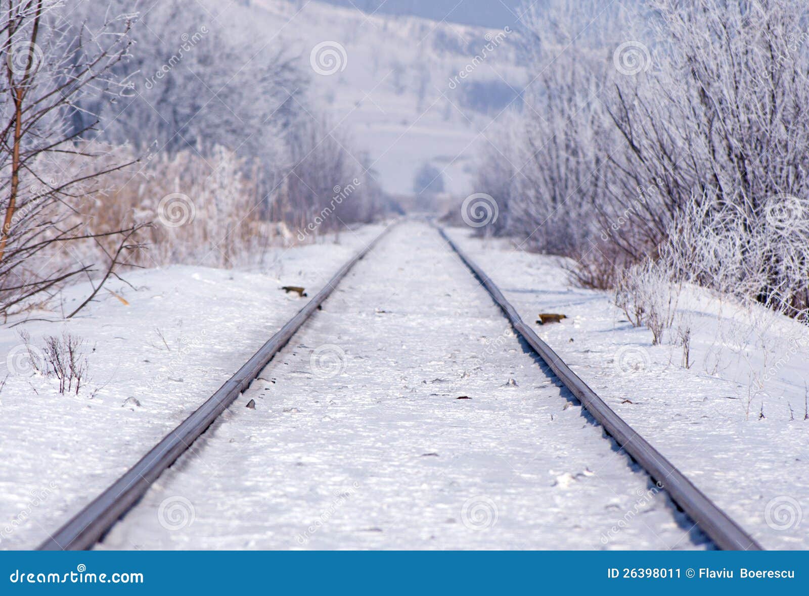 Railroad track in winter stock image. Image of track - 26398011