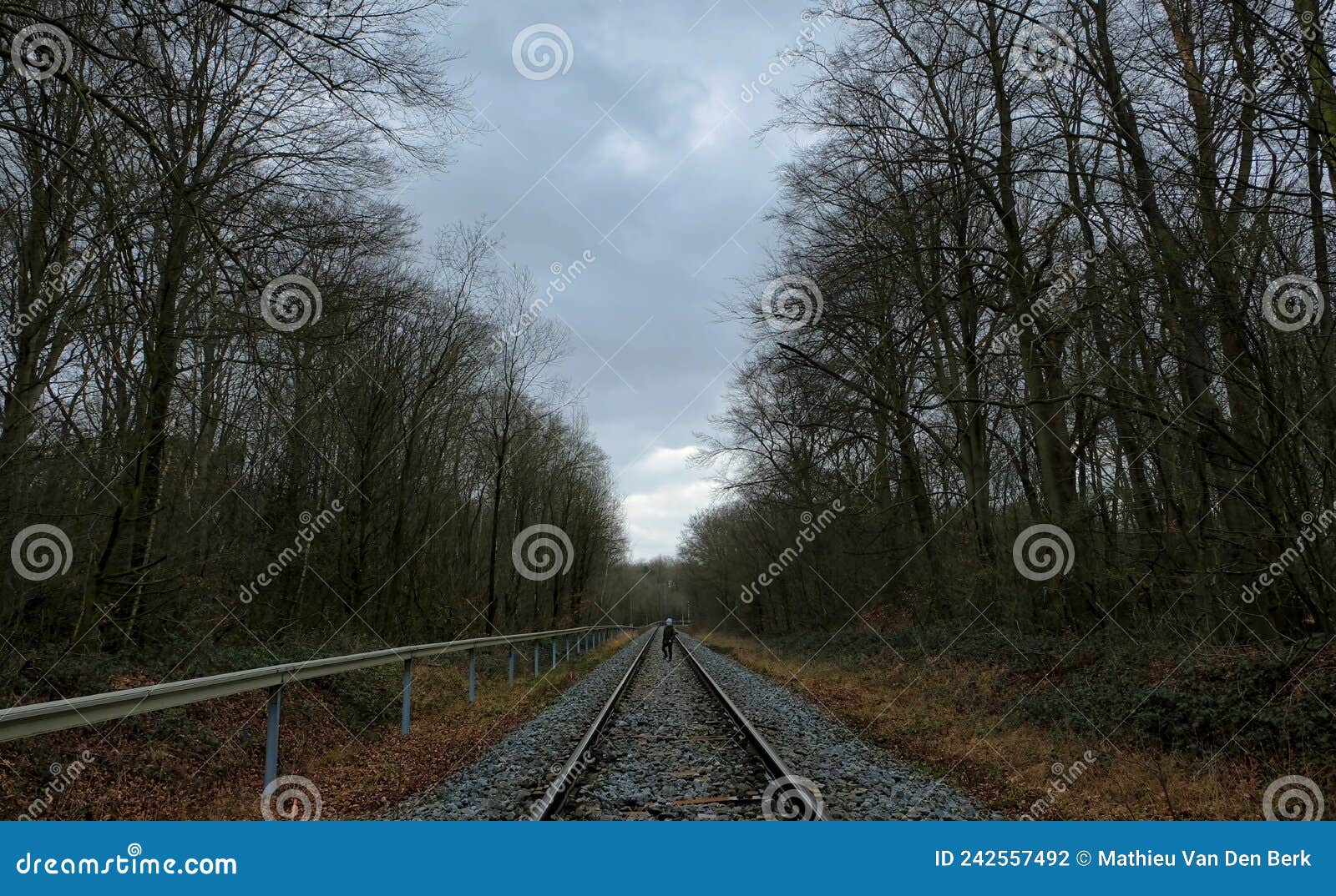 Railroad Track in the Woods in Autumn Stock Photo - Image of smoke ...