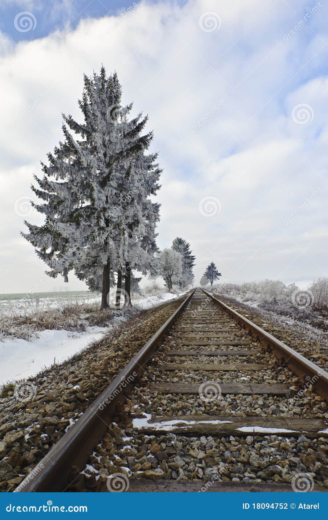 Railroad Tracks Lined With Birch Trees Stock Photo | CartoonDealer.com ...