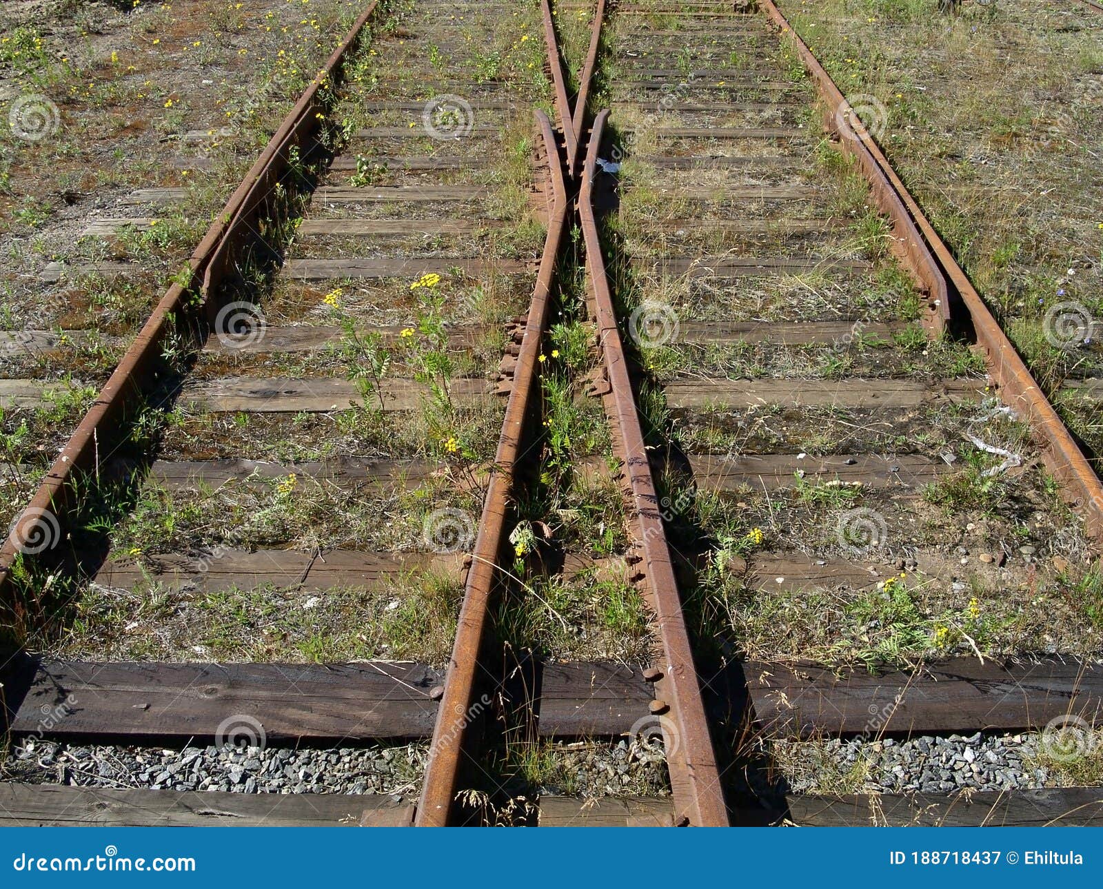Rusty old railroad tracks stock image. Image of transportation - 188718437