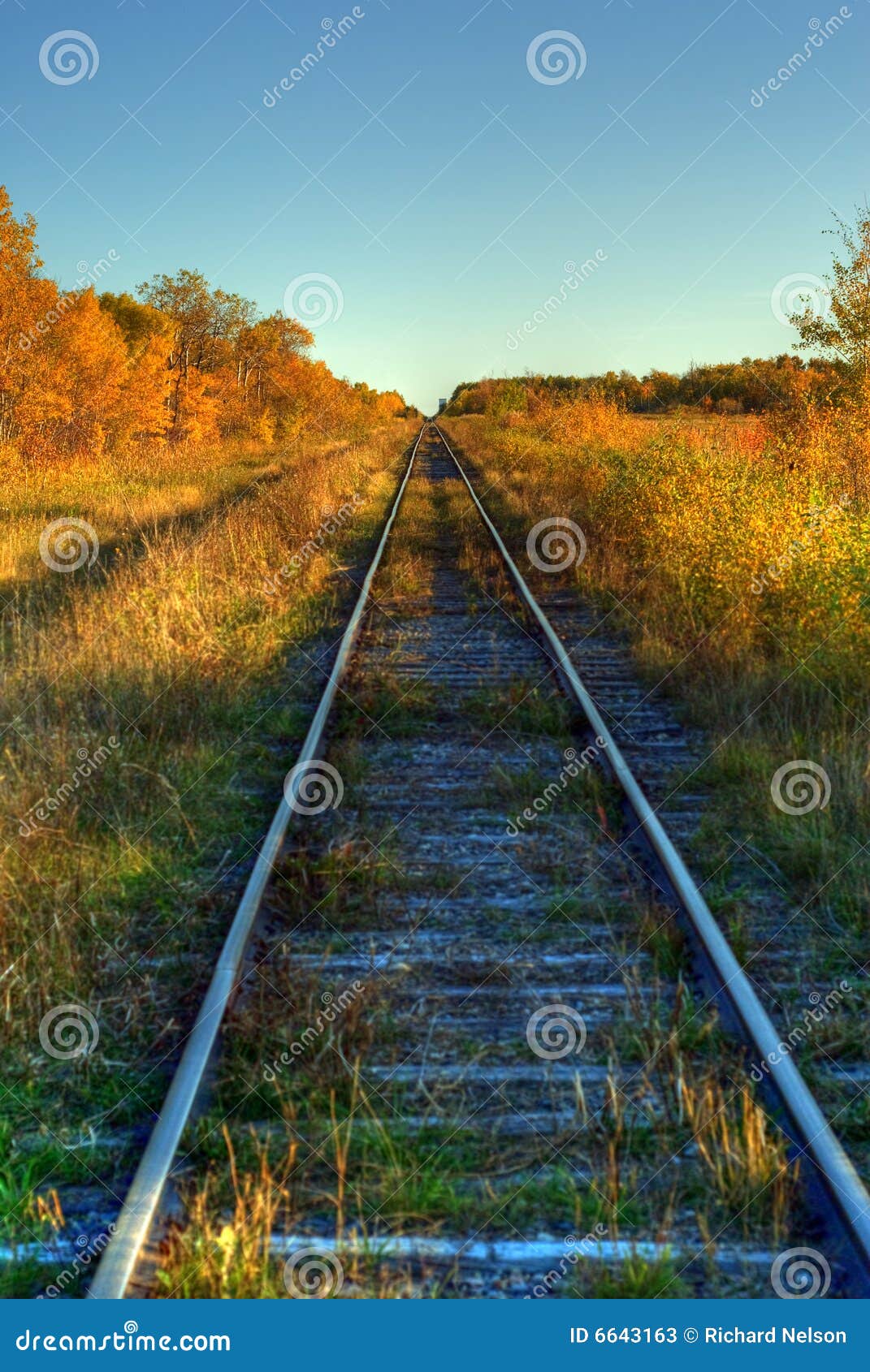 Railroad Tracks stock image. Image of iron, tracks, travel - 6643163