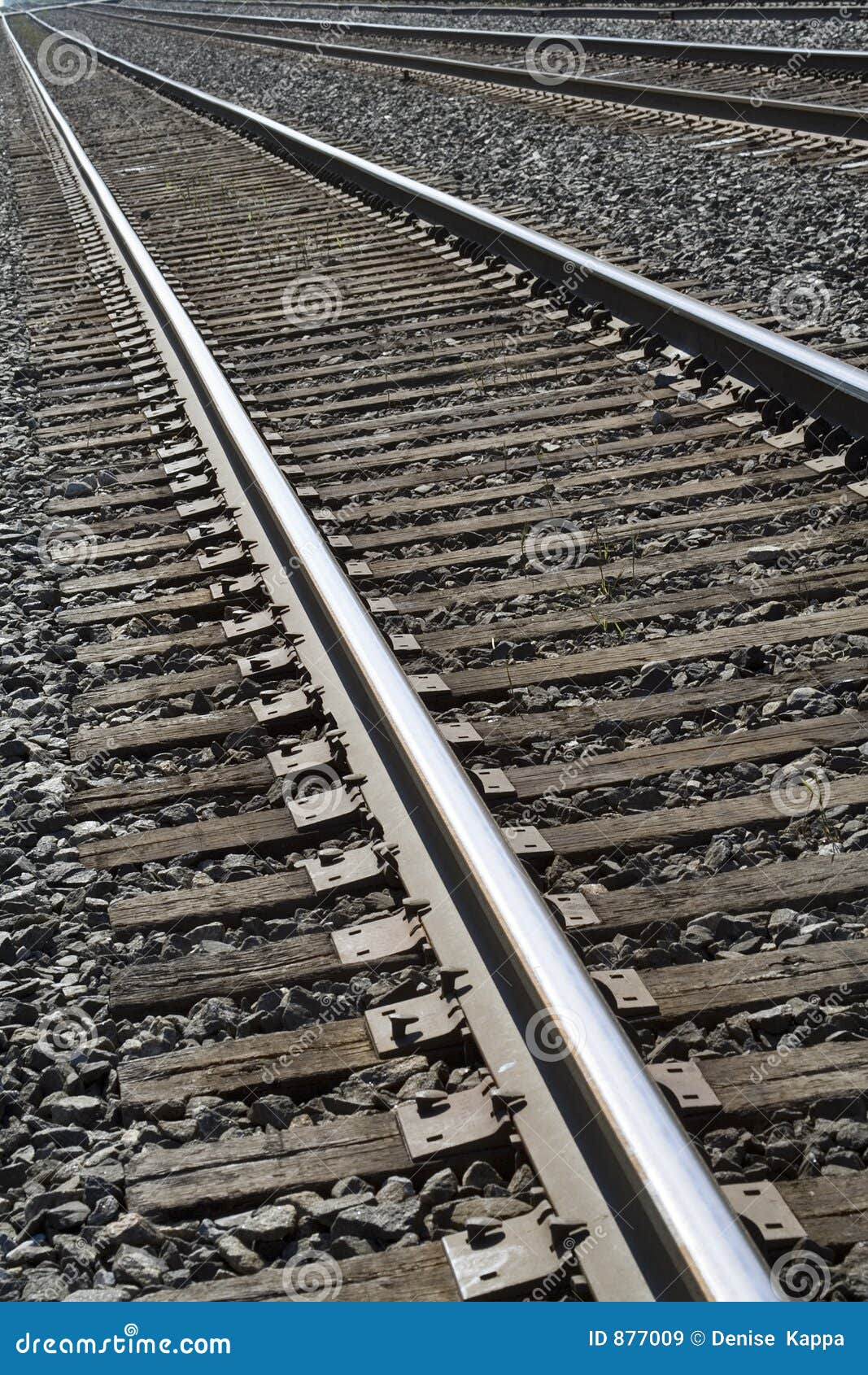 Angled Railroad Crossing Royalty-Free Stock Image | CartoonDealer.com ...