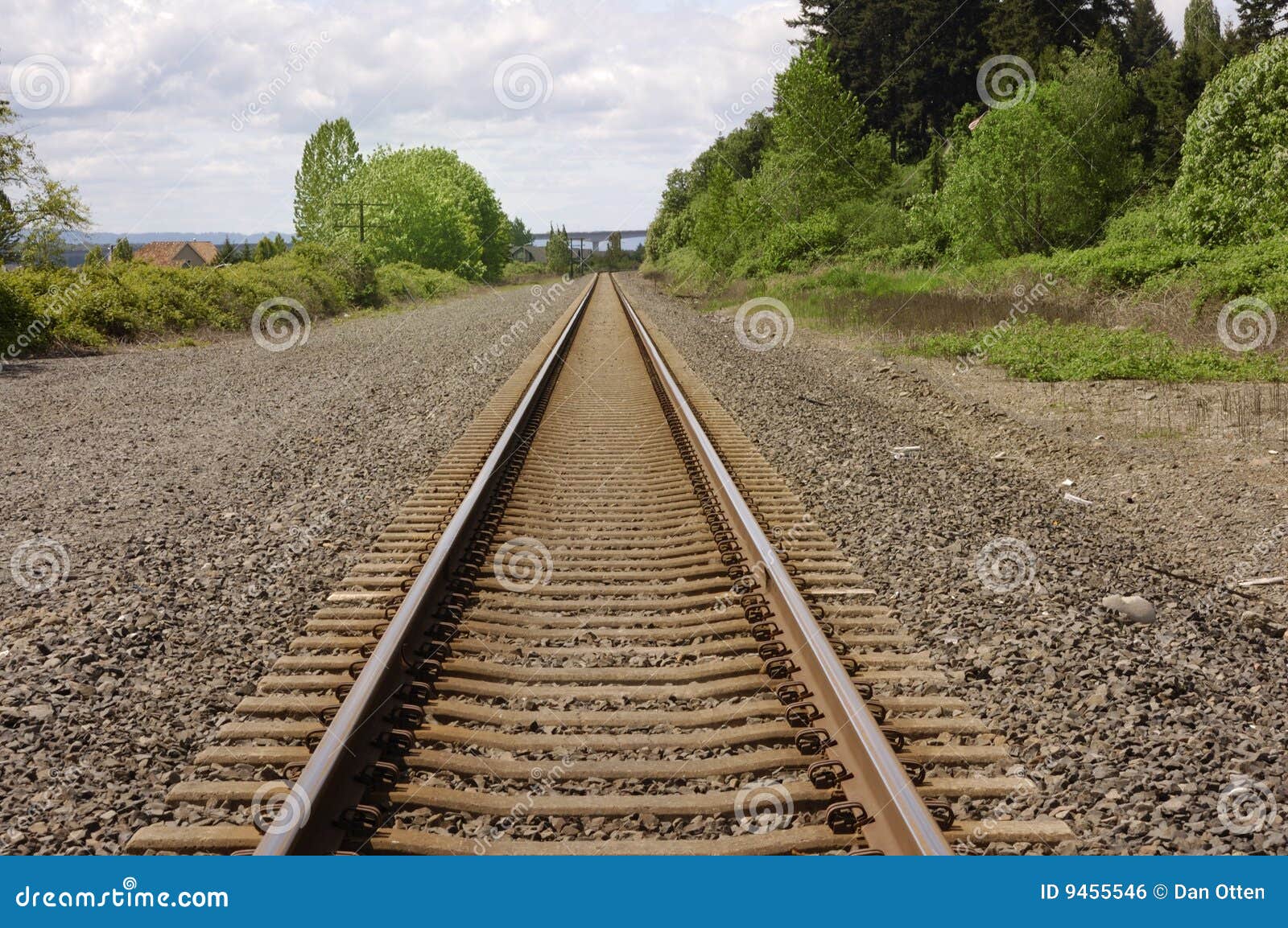 Railroad Tracks Lined With Birch Trees Stock Photo | CartoonDealer.com ...