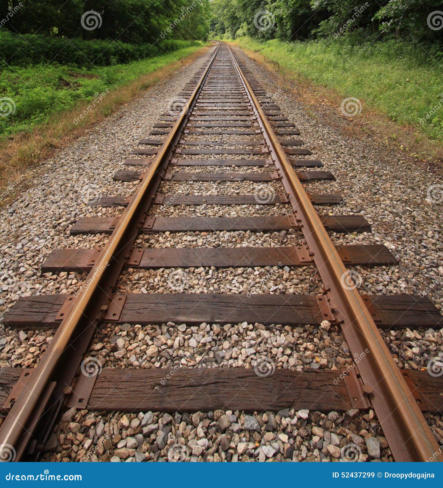 Railroad Tracks Along the Path Stock Image - Image of trail, gravel ...