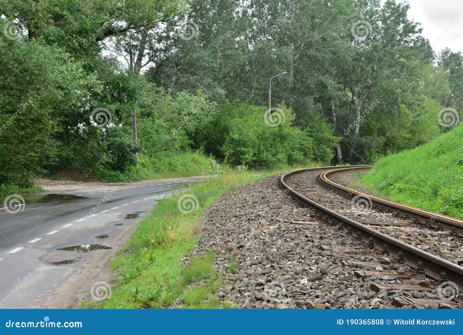Railroad Tracks and Asphalt Road Turn between Trees Stock Photo - Image ...