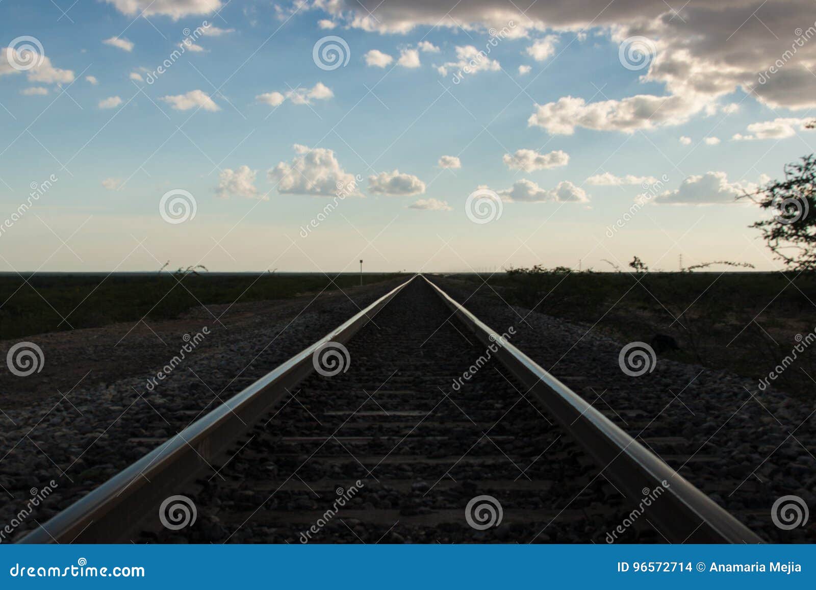 Railroad tracks converging stock photo. Image of flat - 96572714