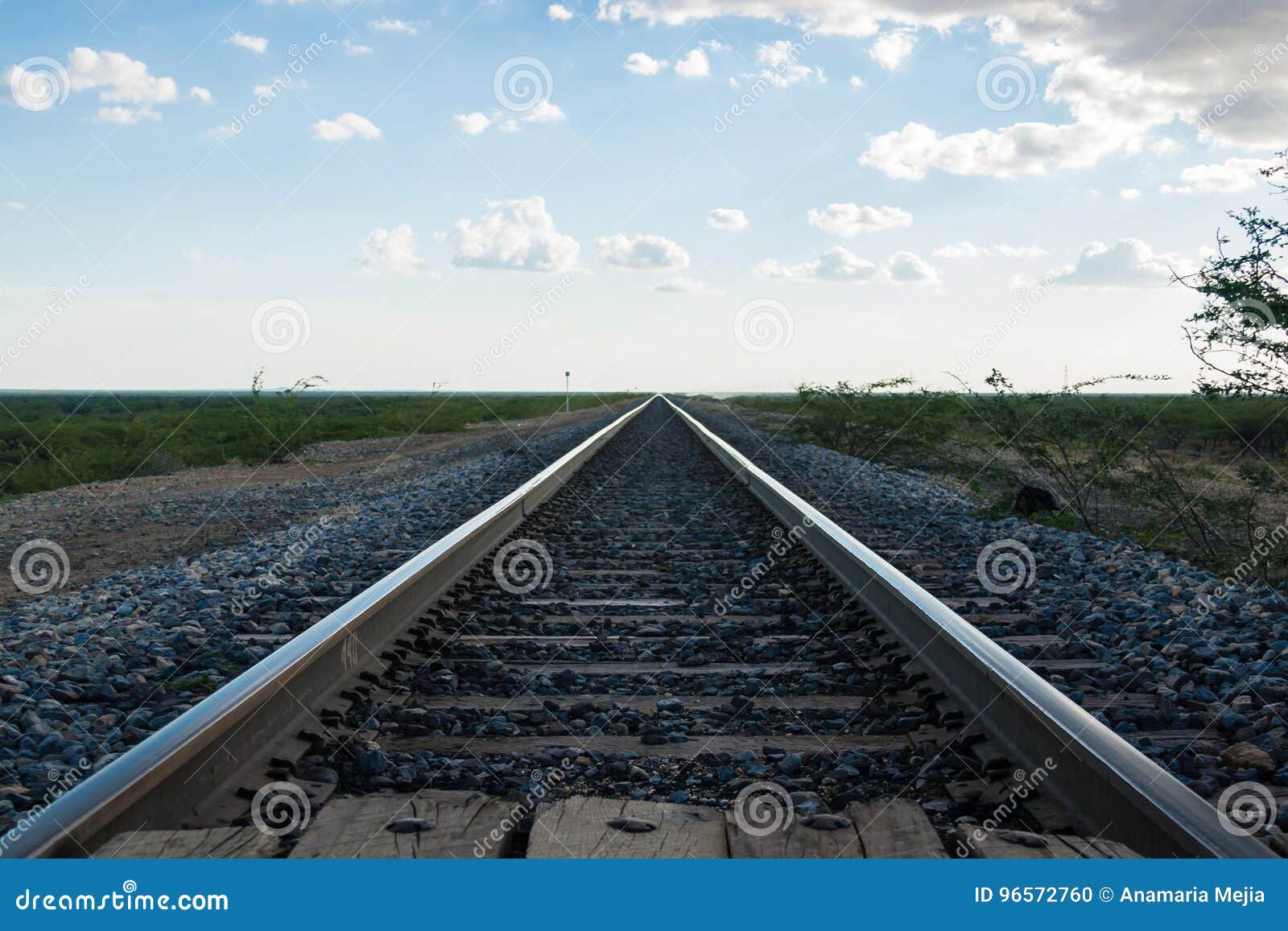 Railroad tracks converging stock photo. Image of america - 96572760