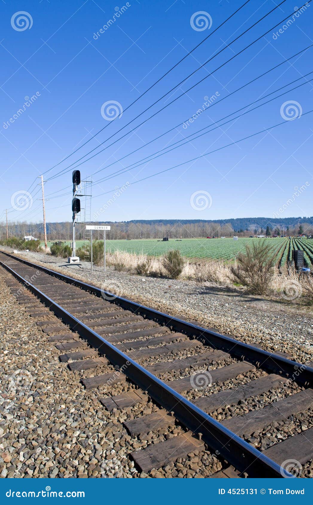 Railroad Tracks in the Country Stock Image - Image of rock, cloudless ...