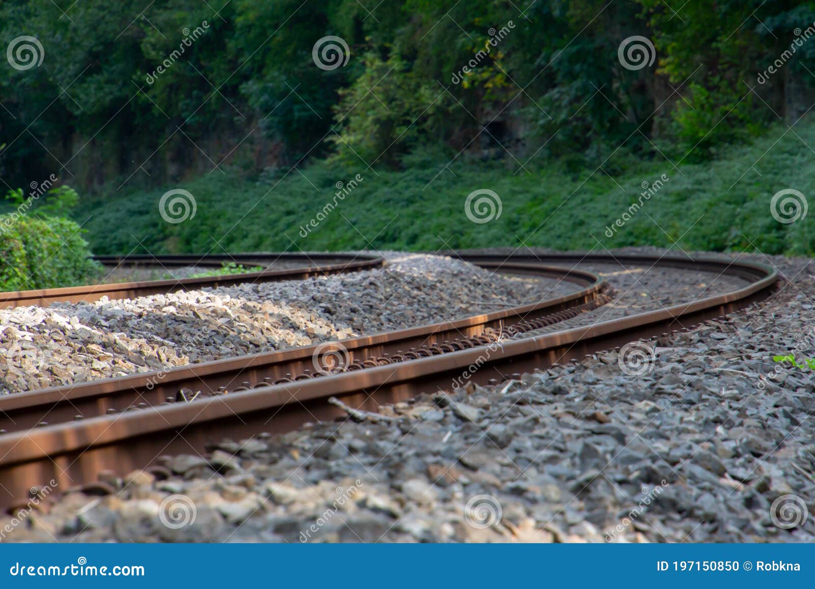 Railroad tracks in a curve stock photo. Image of bend - 197150850