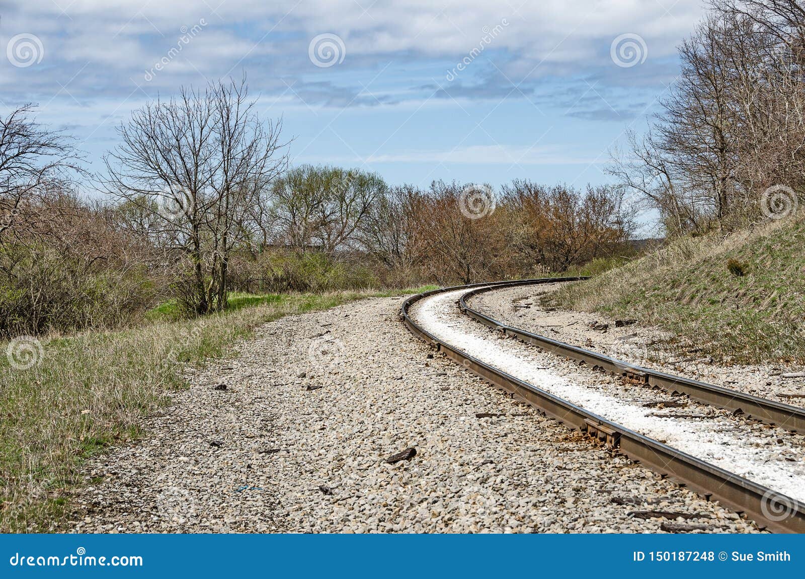 Railroad Tracks with a Curve Stock Photo - Image of trees, outdoors ...