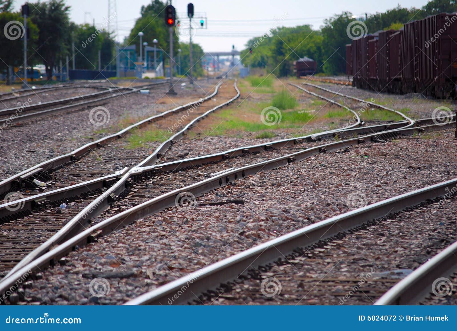 Railroad Tracks (curves) stock photo. Image of switching - 6024072