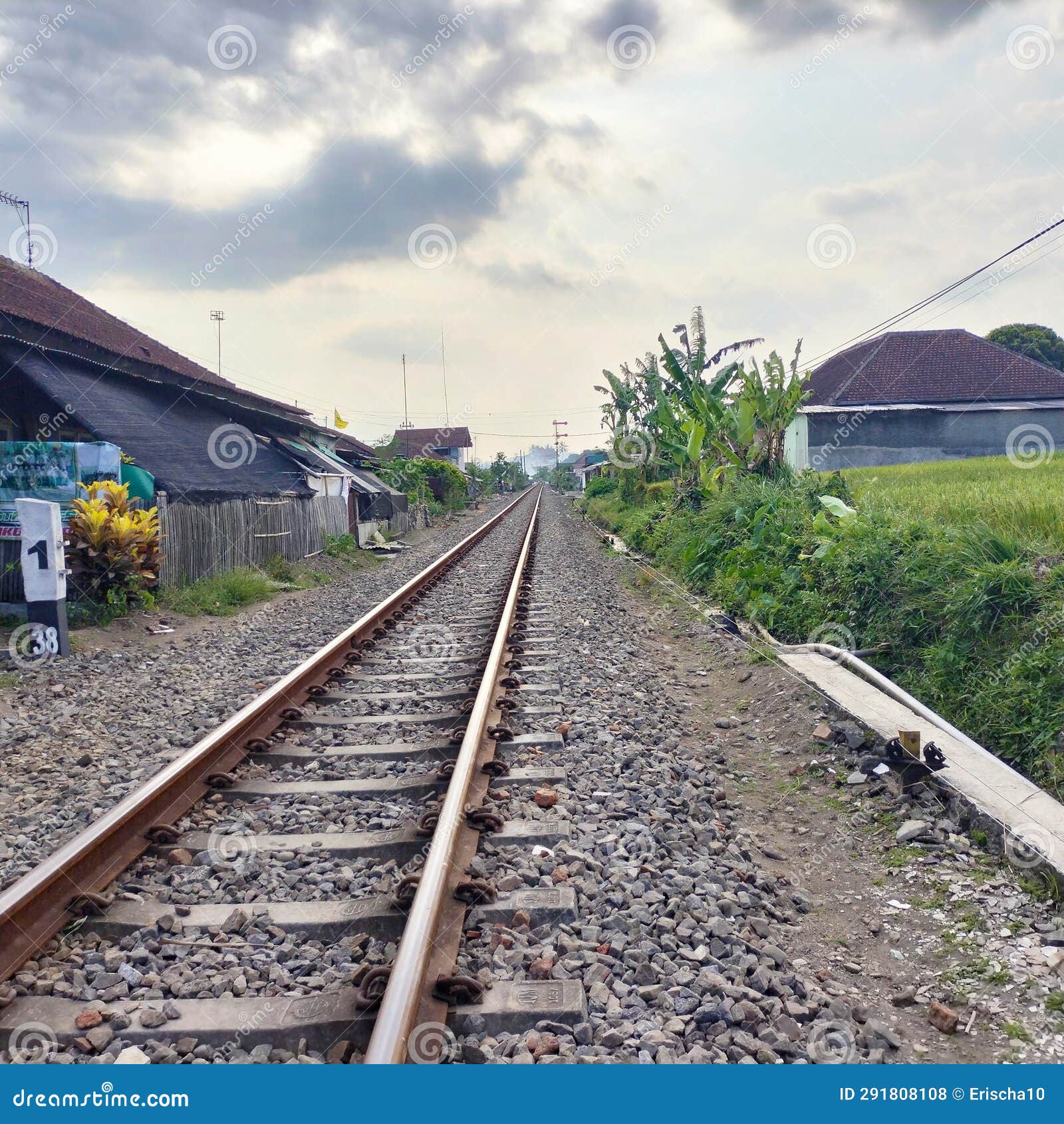 Railroad Tracks on the Edge of Rice Fields Stock Photo - Image of ...