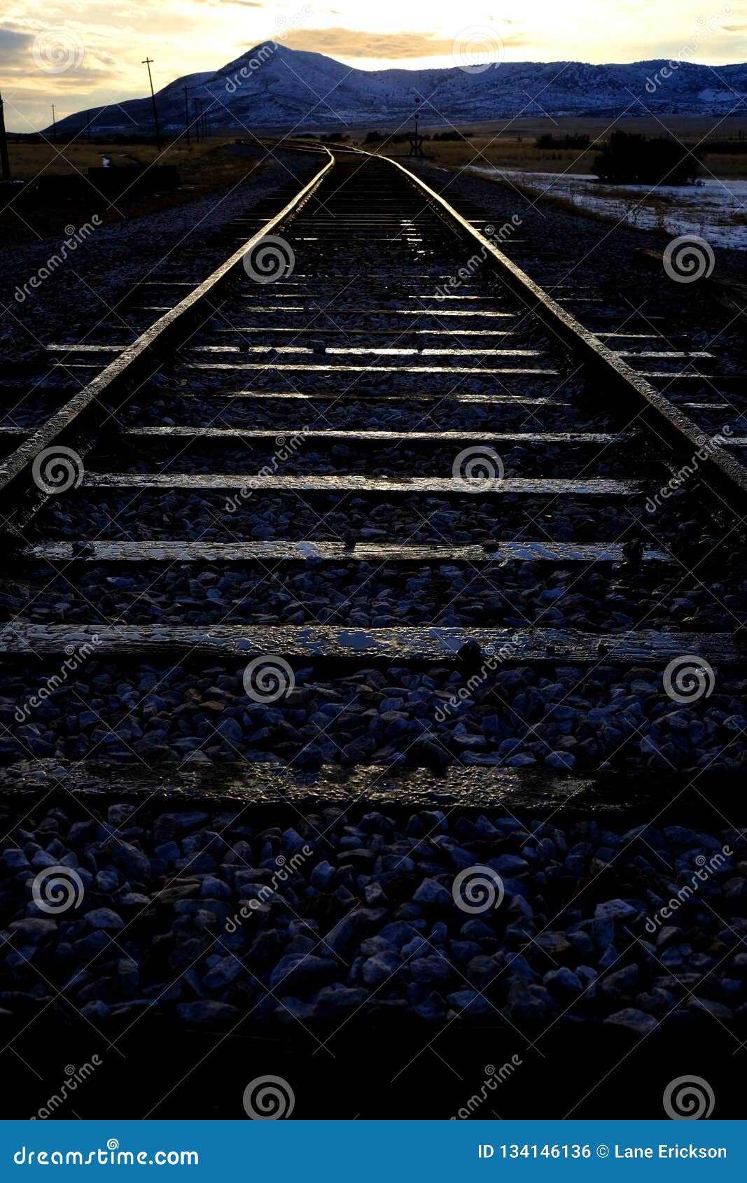 Railroad Tracks in Evening Warm Glow Reflection Traveling Stock Photo ...