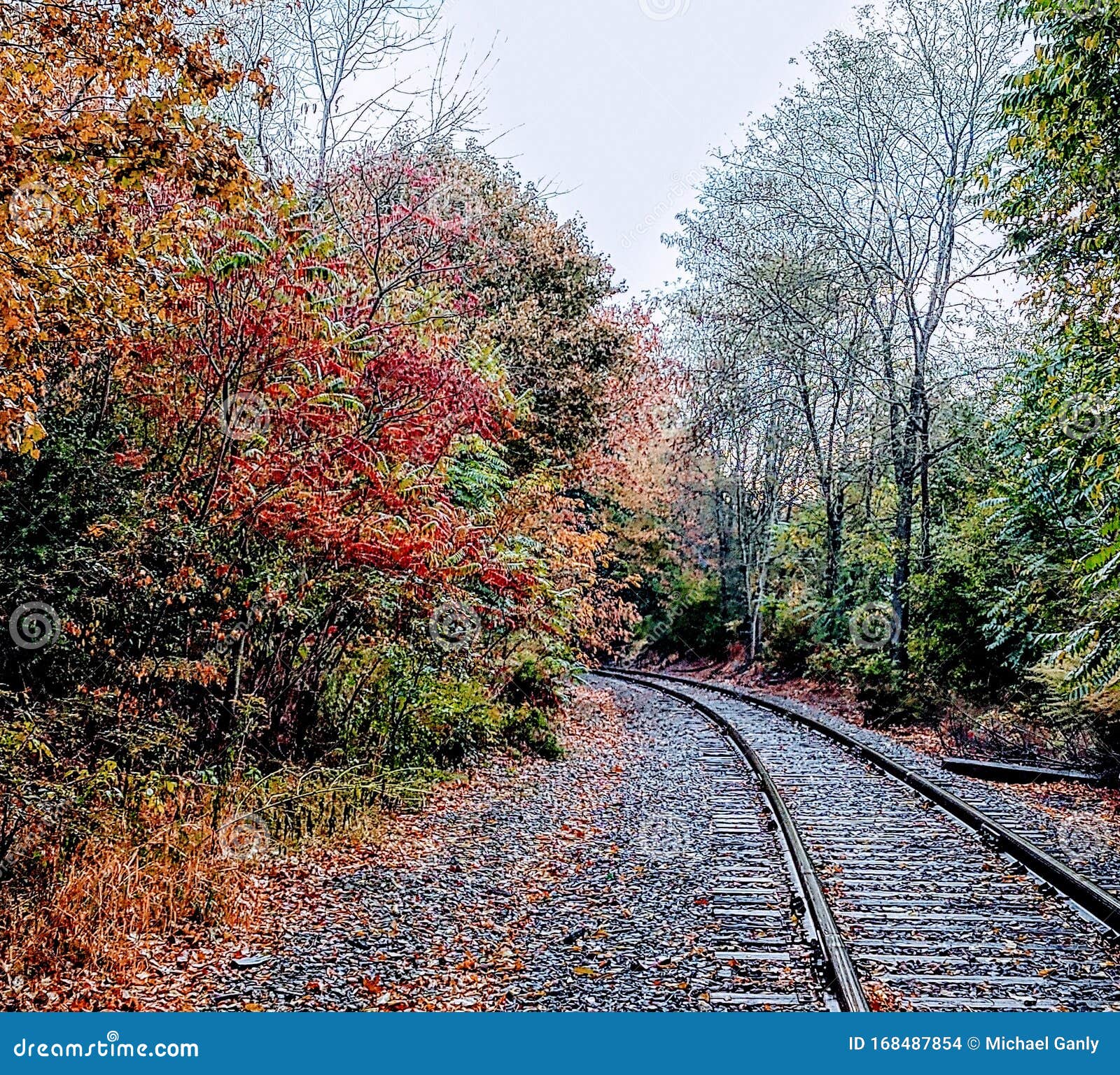 Railroad Tracks on a Fall Day Stock Photo - Image of falling, railroad ...