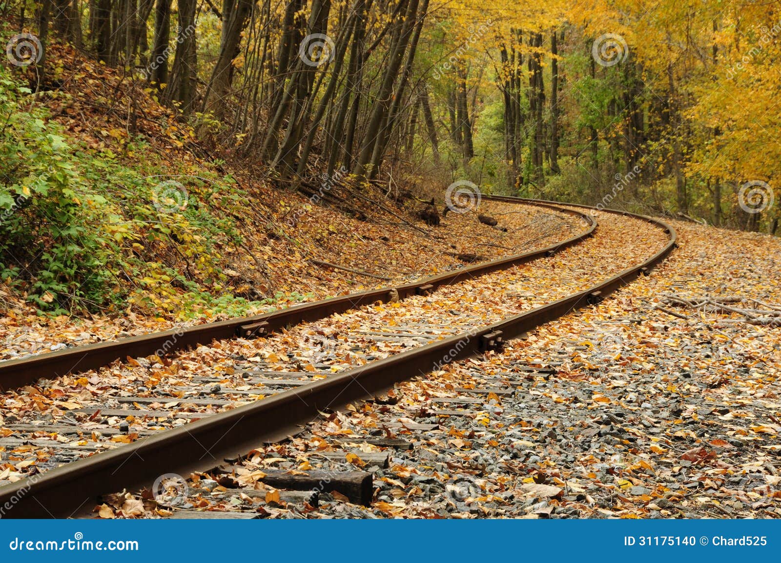 Railroad Tracks in the Fall Stock Photo - Image of road, tracks: 31175140