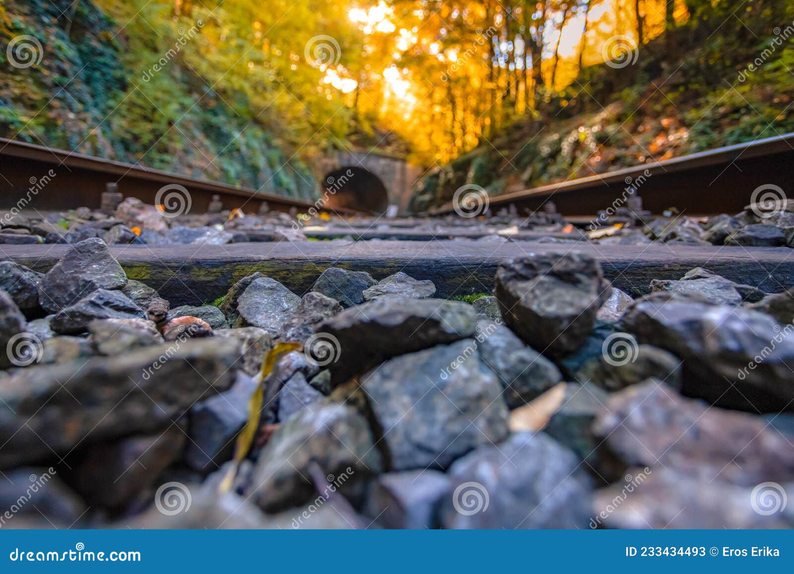 Railroad Tracks in the Fall Stock Image - Image of iron, mist: 233434493