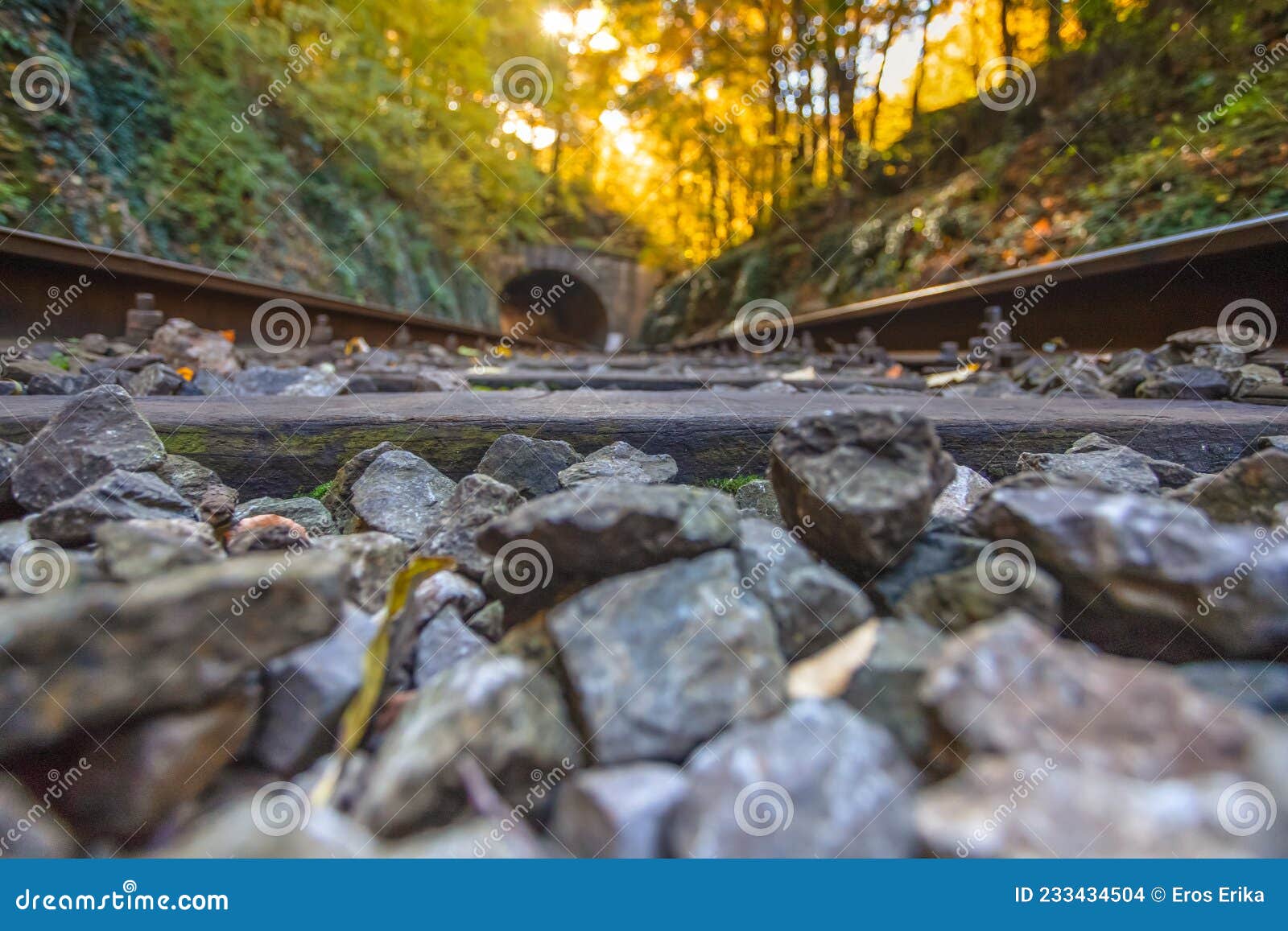 Railroad Tracks in the Fall Stock Photo - Image of perspective ...