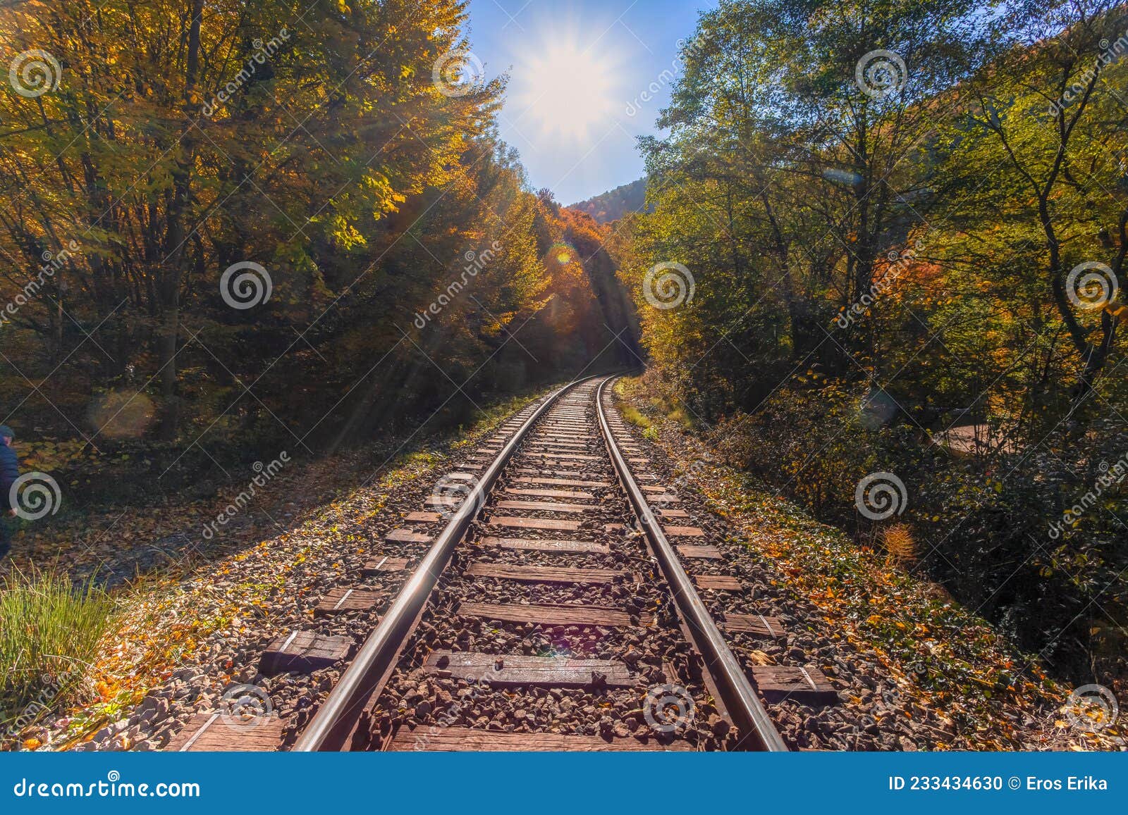 Railroad Tracks in the Fall Stock Photo - Image of fall, park: 233434630