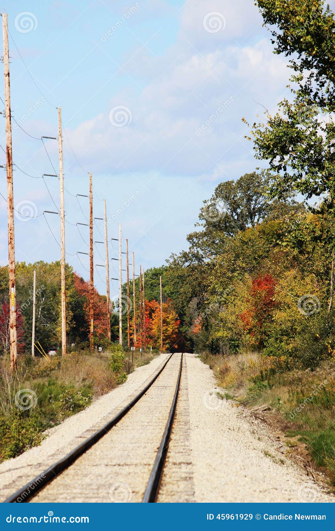 Railroad Tracks and Fall Trees Stock Image - Image of fall, colored ...