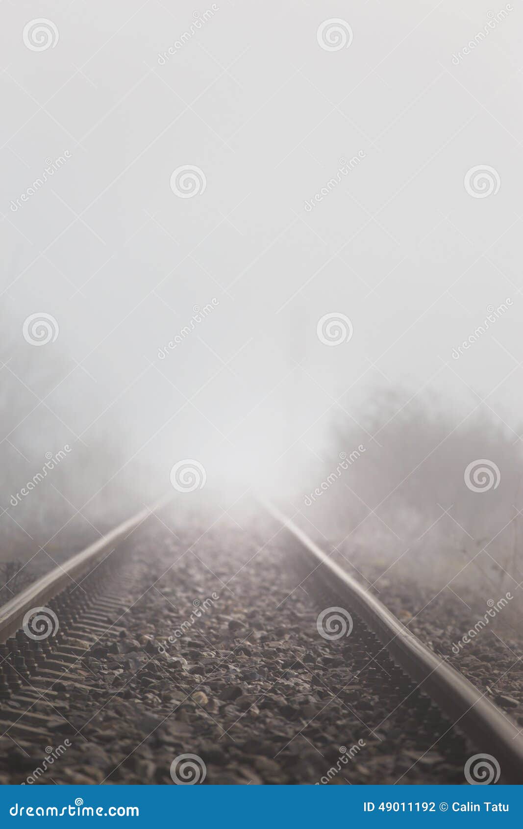 Railroad tracks in the fog stock photo. Image of lines - 49011192