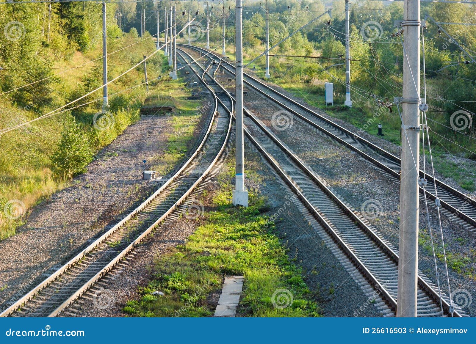 Railroad Tracks in Forest Horizontal View Stock Image - Image of rail ...
