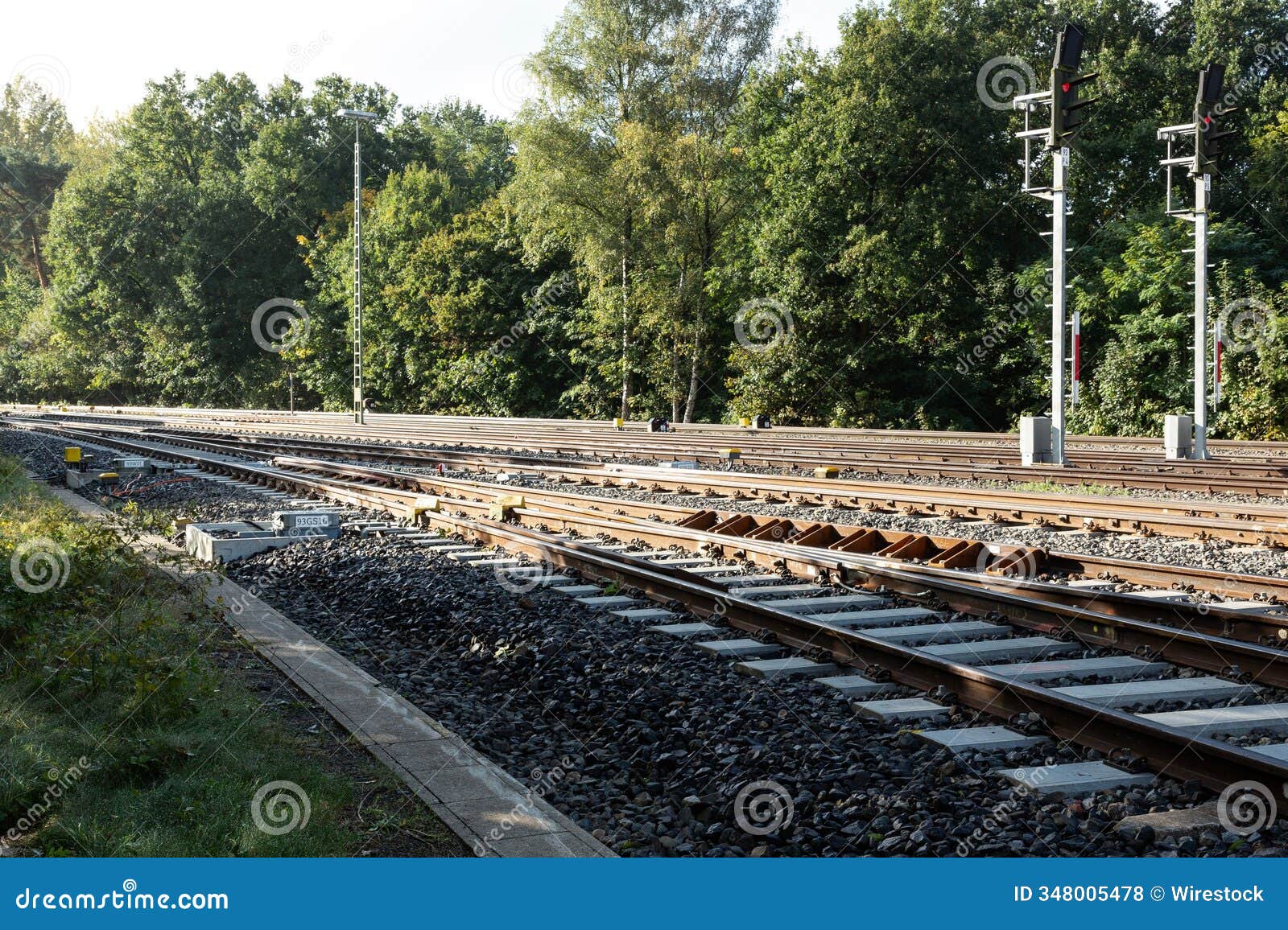 Railroad Tracks in the Forest Stock Photo - Image of direction, forest ...