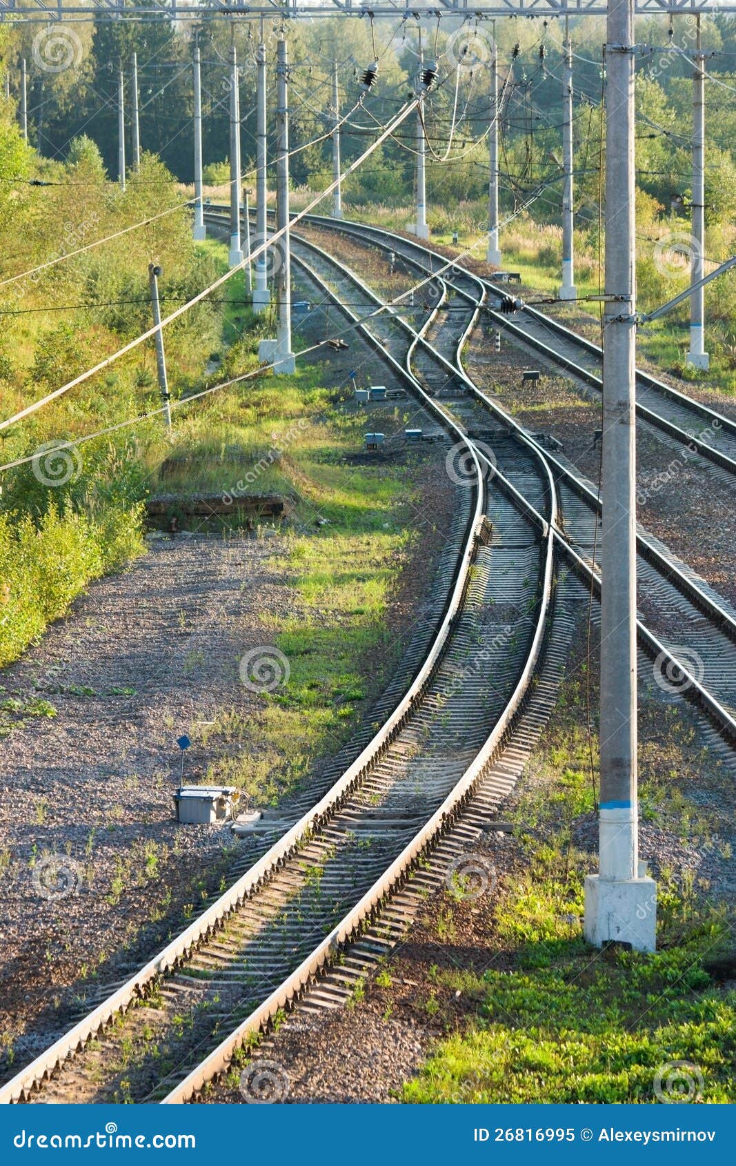 Railroad Tracks in Forest Vertical View Stock Image - Image of ...