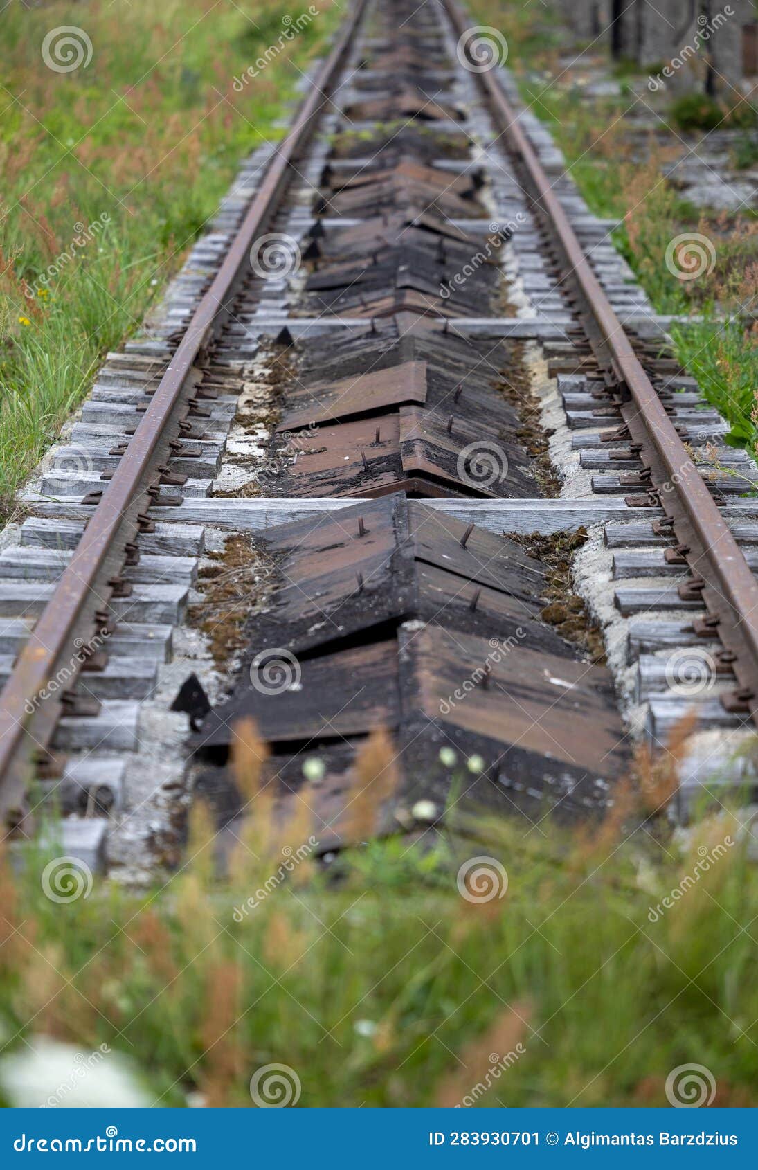 Railroad Tracks Go Far Beyond the Horizon Stock Image - Image of cloudy ...