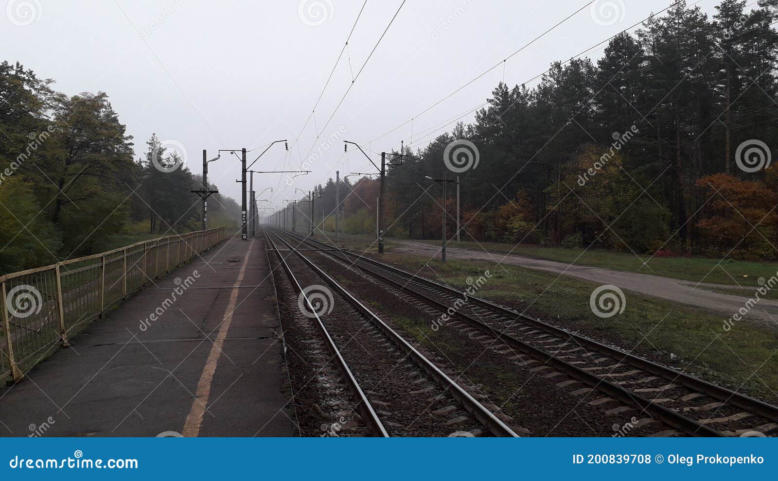 Railroad Tracks Going into Perspective Stock Photo - Image of nature ...