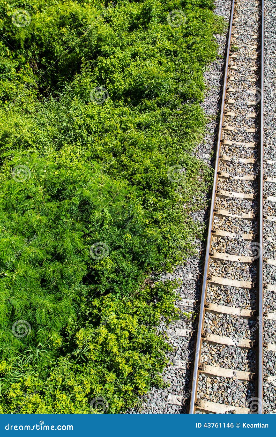 Railroad tracks grass stock photo. Image of outdoors - 43761146