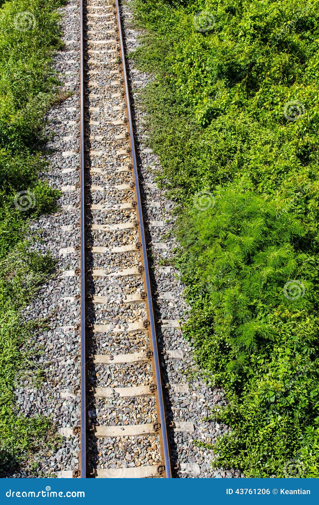 Railroad tracks grass stock photo. Image of field, iron - 43761206