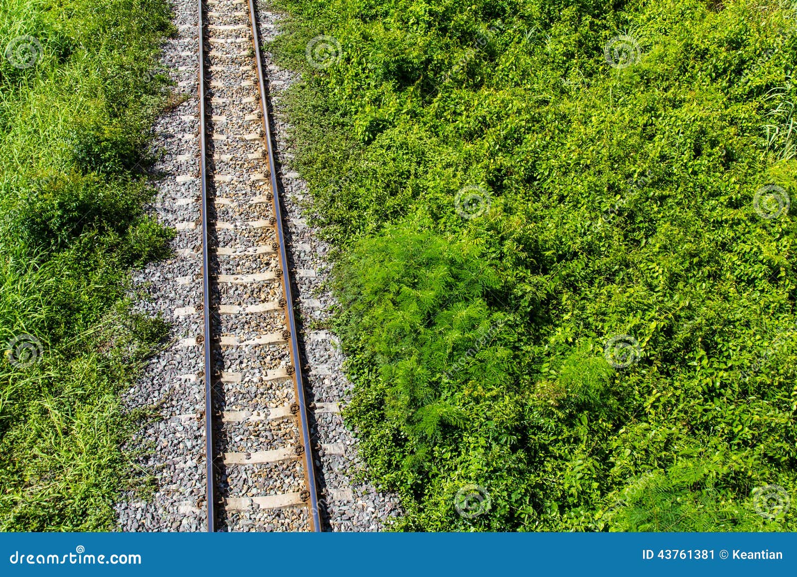 Railroad tracks grass stock image. Image of direction - 43761381