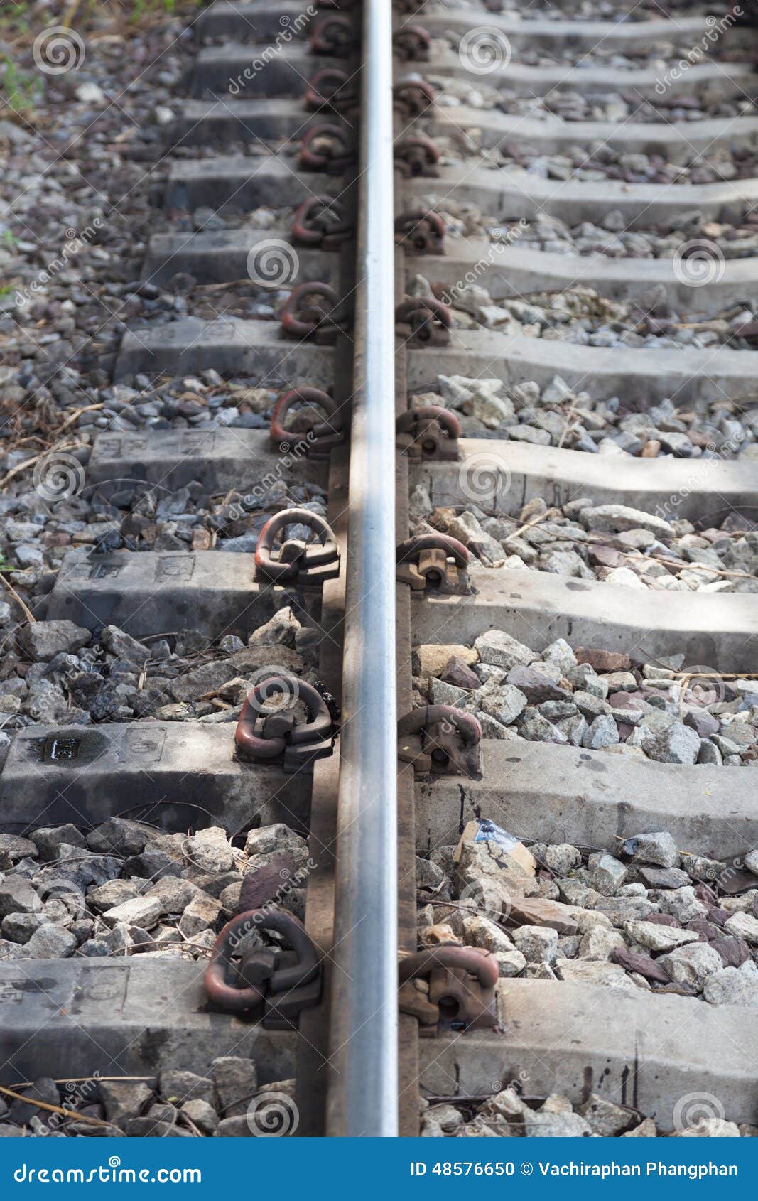 Railroad tracks stock photo. Image of railroad, scene - 48576650
