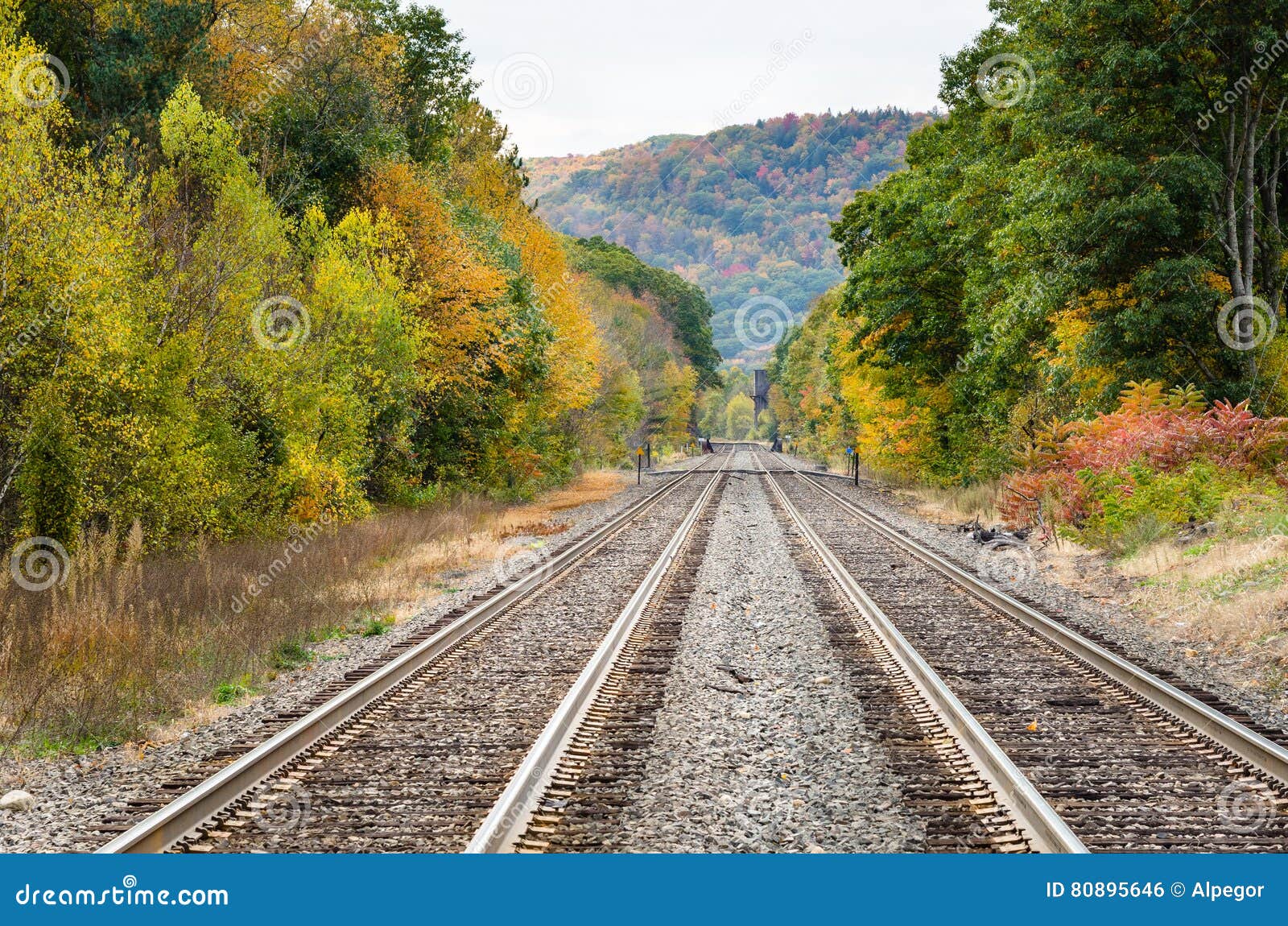 Railroad Tracks Lined with Trees Stock Photo - Image of autumnal ...