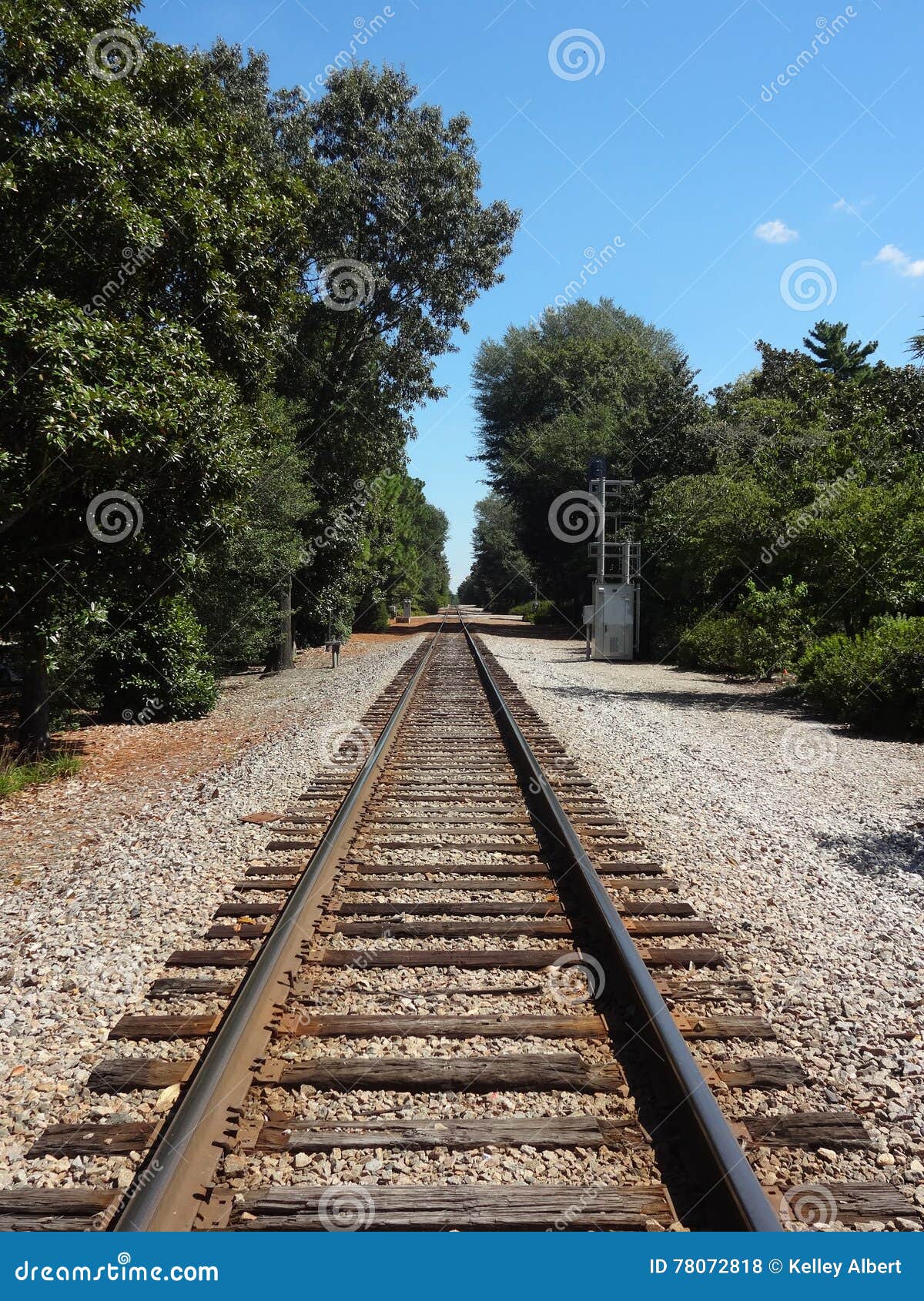Railroad Tracks stock photo. Image of carolina, travel - 78072818