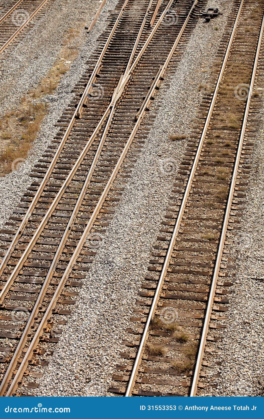 Railroad Tracks stock image. Image of railroad, timber - 31553353