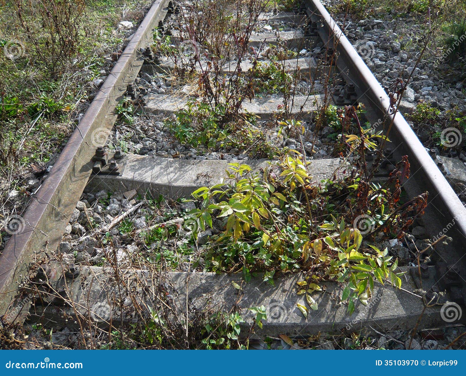 Railroad tracks stock photo. Image of station, grass - 35103970