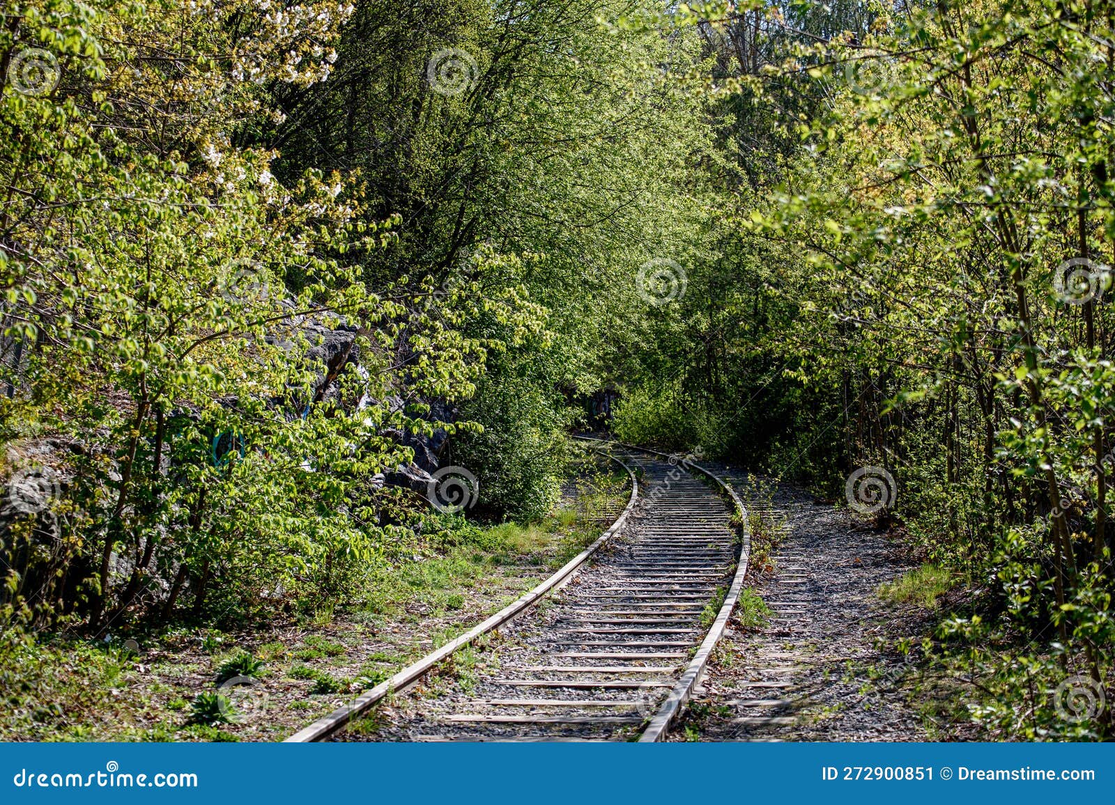 Railroad Tracks in a Park among Thick Bushes Stock Image - Image of ...