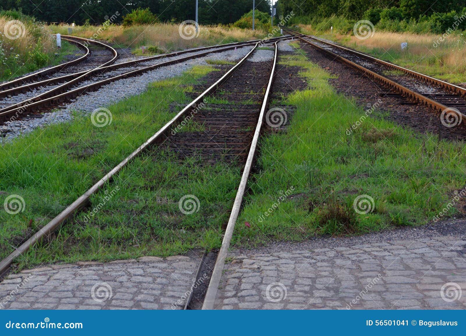Railroad tracks. stock image. Image of railroad, shows - 56501041