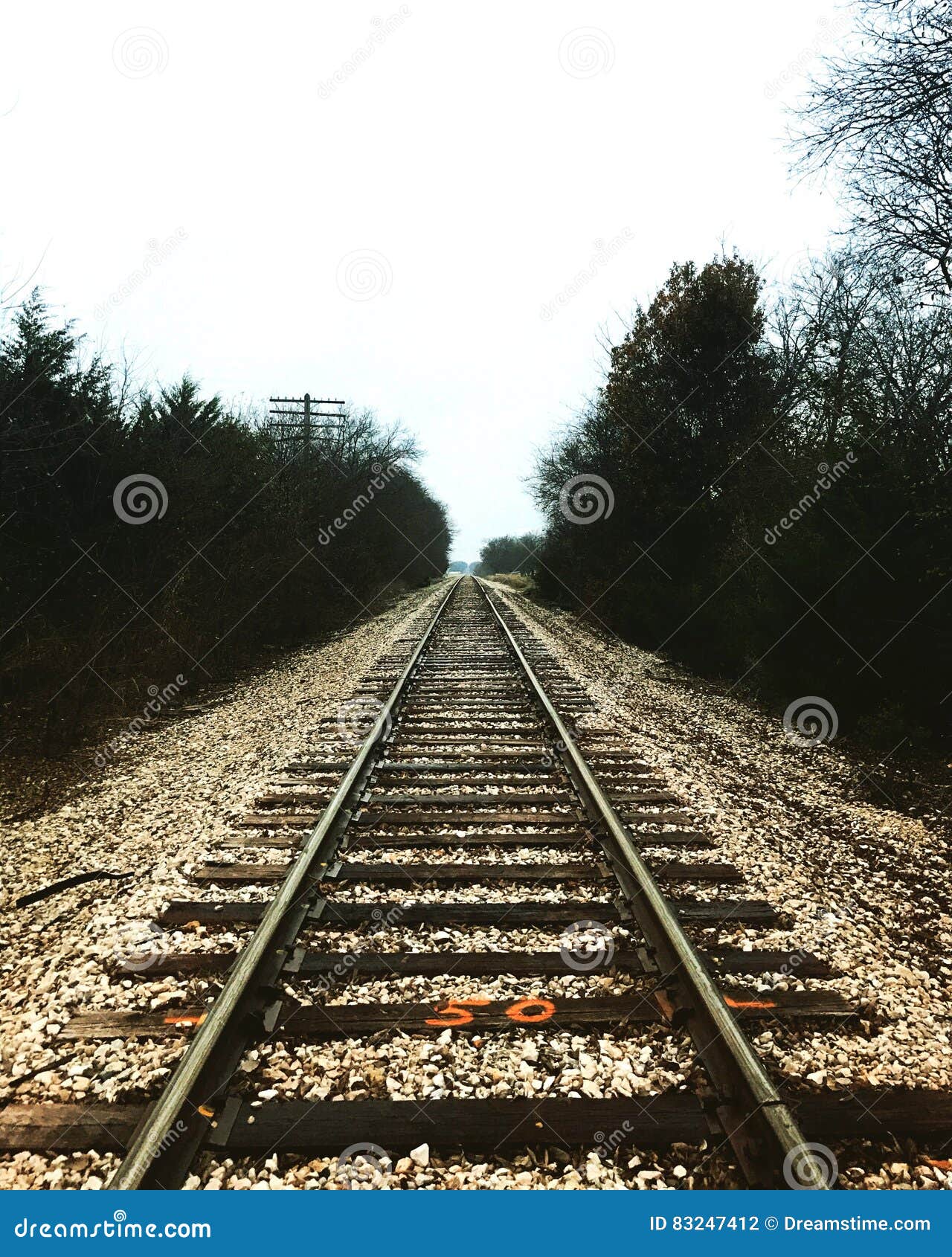 Railroad Tracks stock photo. Image of tracks, straight - 83247412