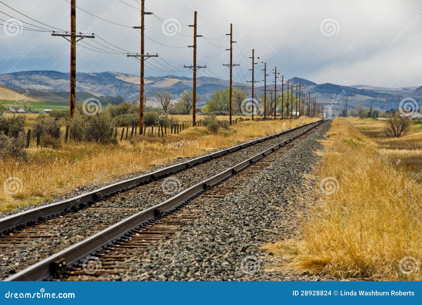 Railroad Tracks and Power Lines Stock Photo - Image of poles ...