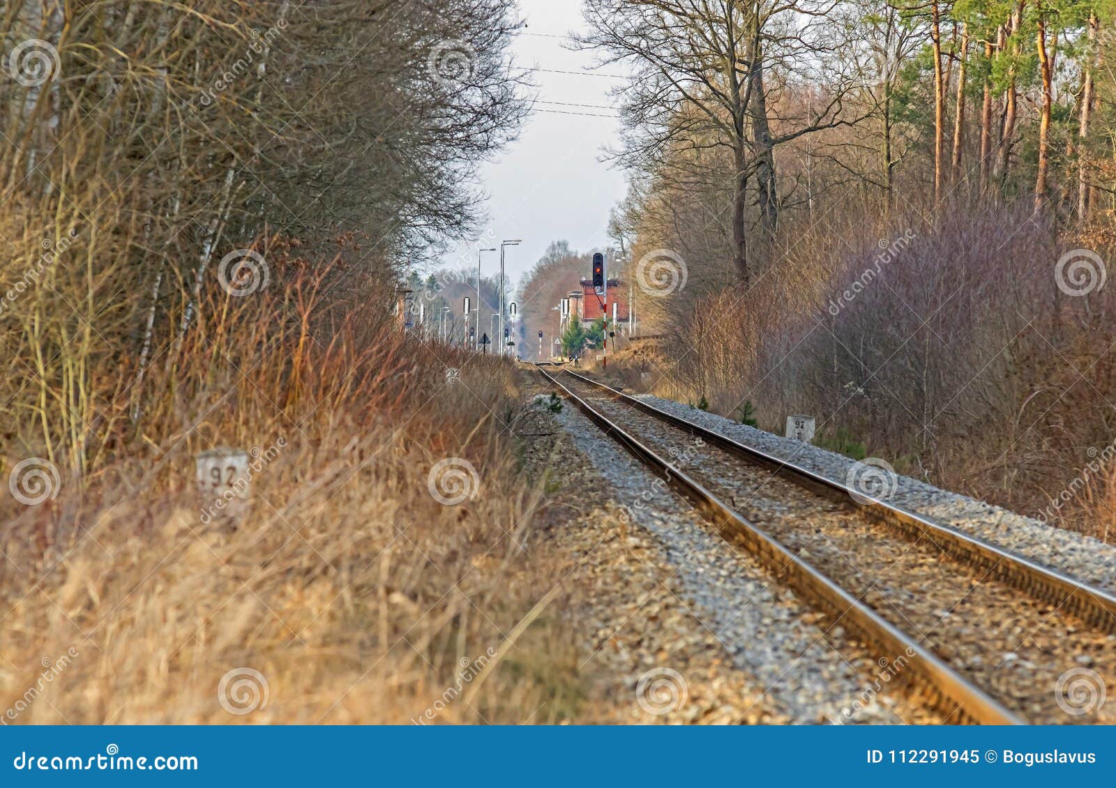 Railroad tracks. stock image. Image of leaves, iron - 112291945
