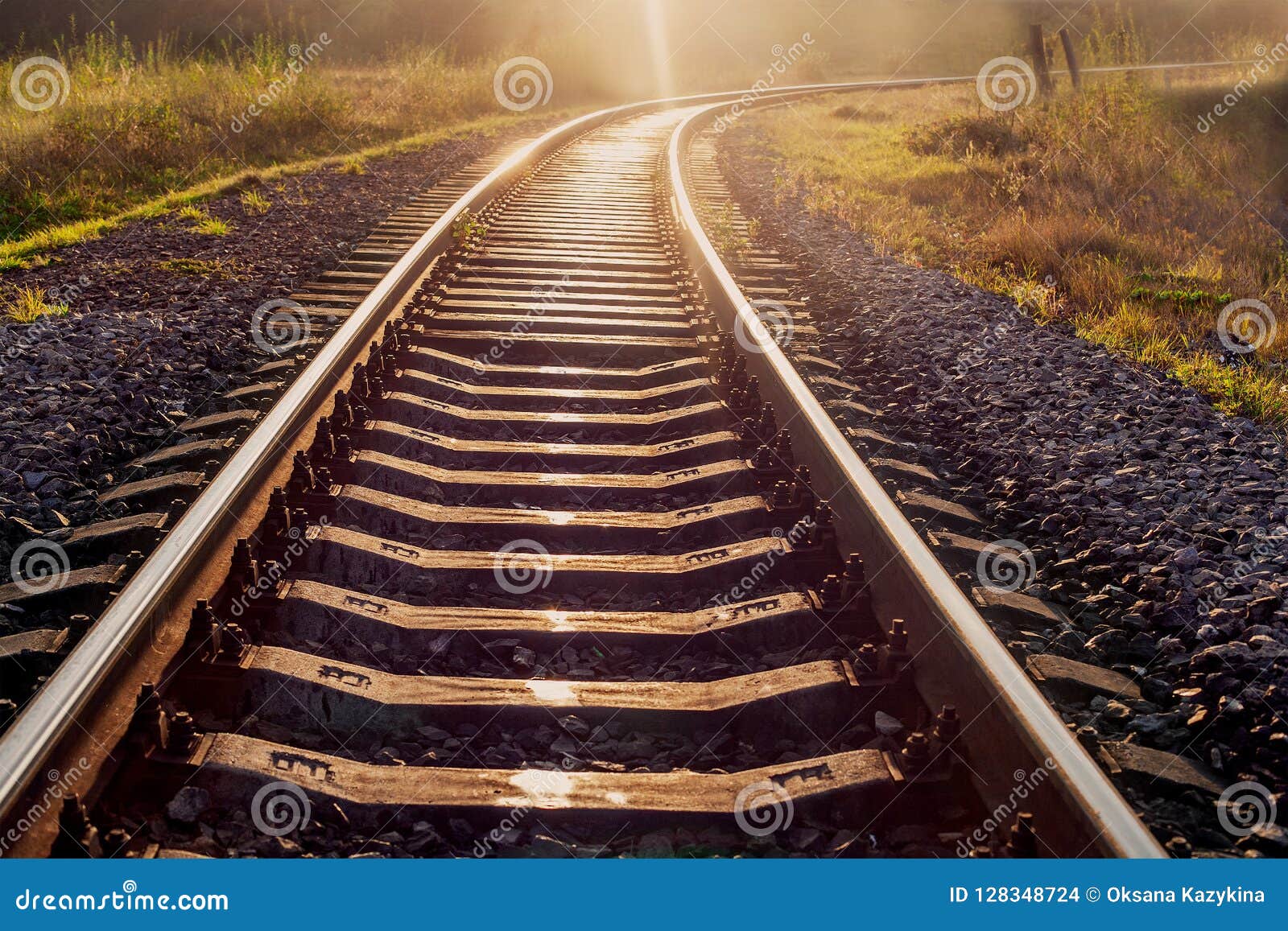 Railroad Tracks in the Setting Sun Stock Photo - Image of leaf ...