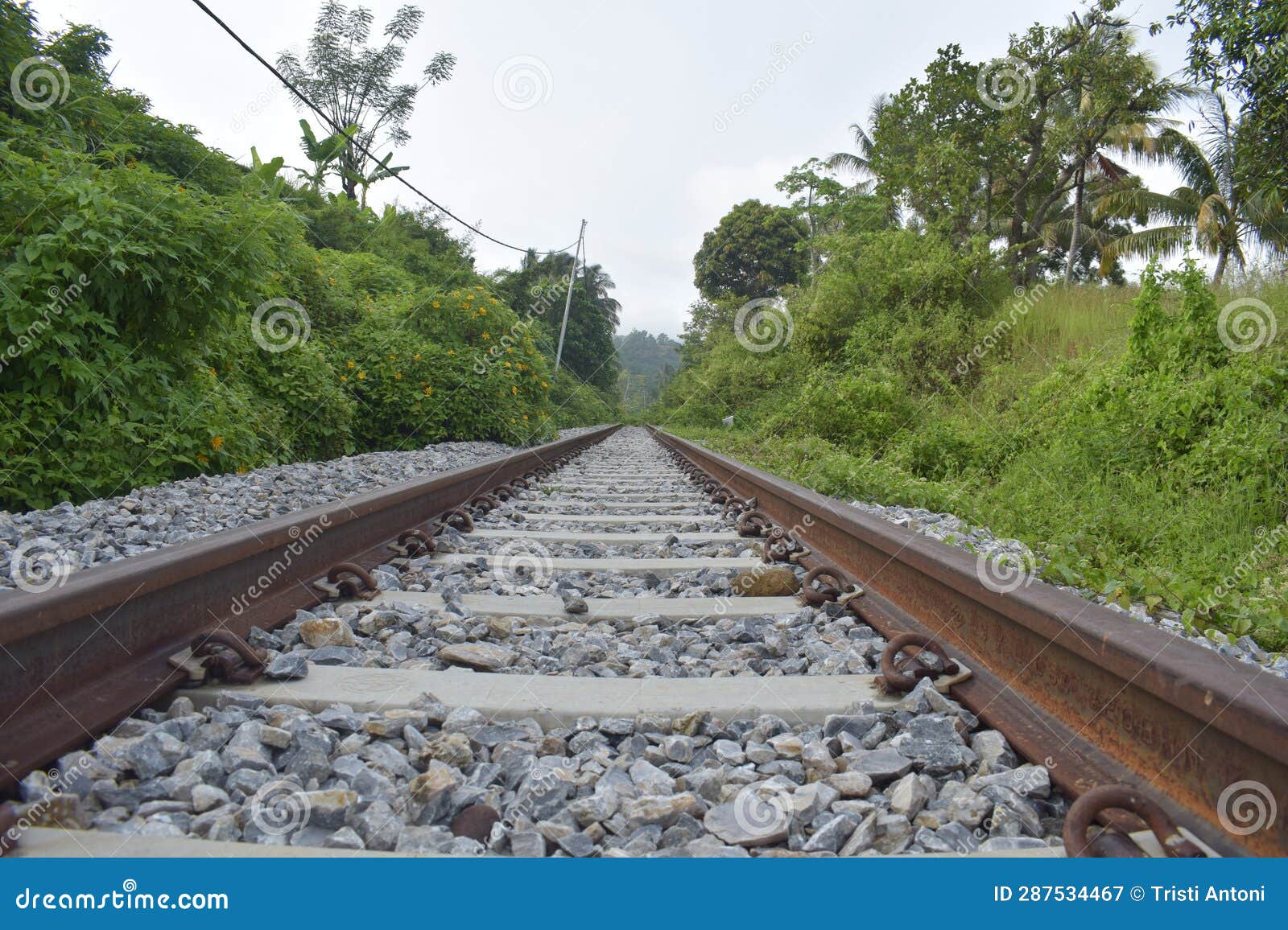Railroad Tracks Straight Ahead Stock Image - Image of vehicle, trail ...