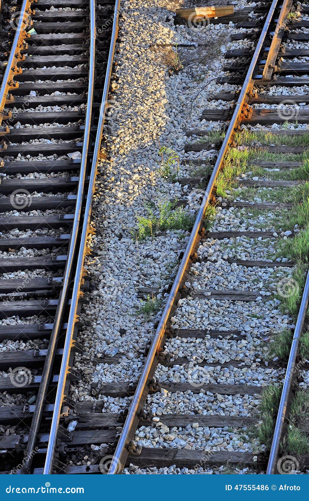 Railroad tracks stock photo. Image of railroad, cross - 47555486