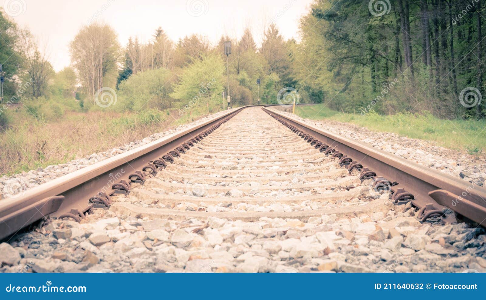 Railroad Tracks Trough the Forest with a Curve at the End Stock Photo ...