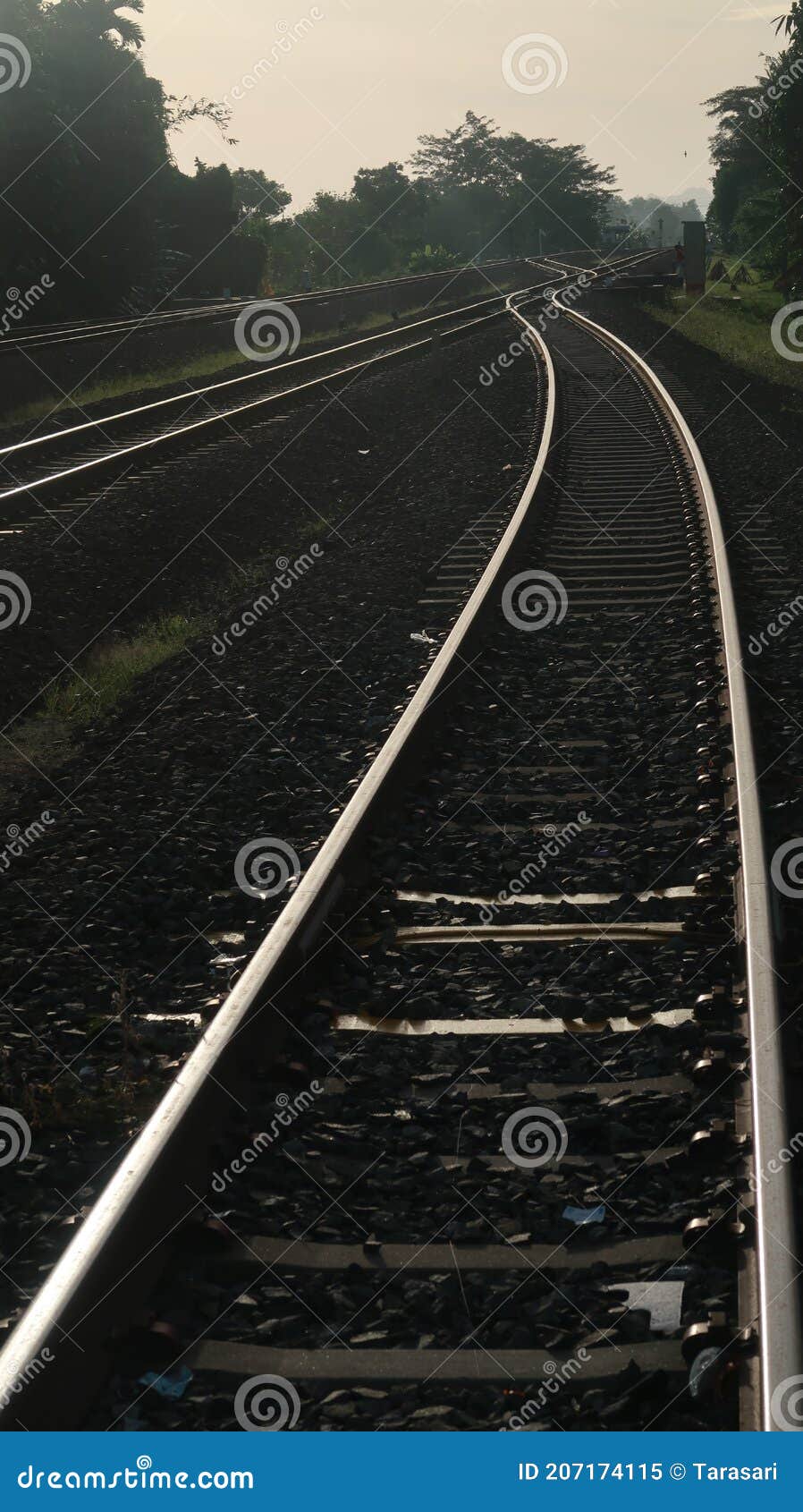 Railroad Tracks that Turn and Merge with Other Rails Stock Image ...