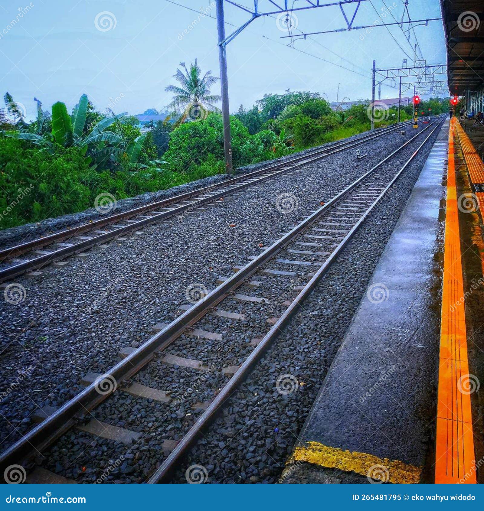 Railroad Tracks at a Village Station Stock Image - Image of station ...